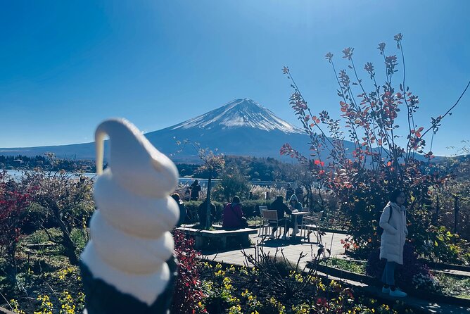 Mt Fuji Private Sightseeing Tour From Tokyo - Inclusions