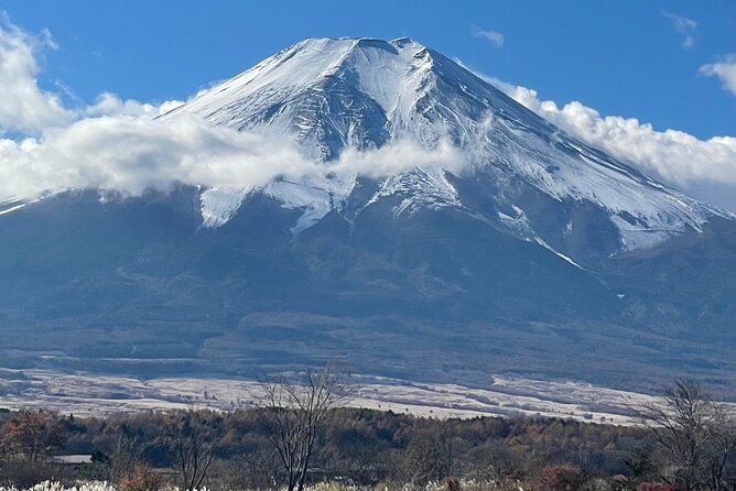 Mt Fuji Private Sightseeing Tour From Tokyo - Pickup Details