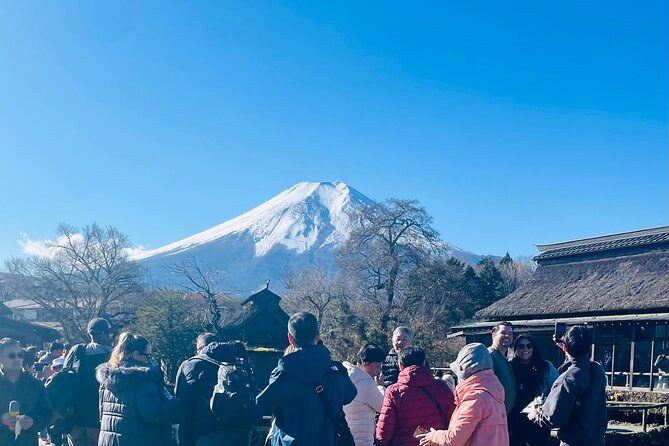Mt Fuji Private Sightseeing Tour From Tokyo - Reviews and Ratings