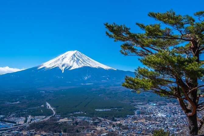 Mt. Fuji Private Tour by Car With Pick-Up From Tokyo - Pickup and Accessibility