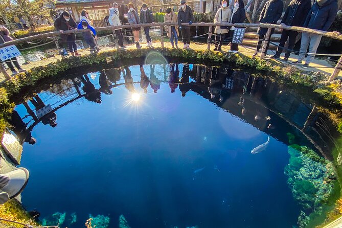 MT. Fuji/ Private Tour Delivered and Guided by a Top-Tier Driver - Highlights of the Tour