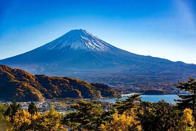 Mt. Fuji Private Tour From Tokyo With English Guide - Traveler Requirements