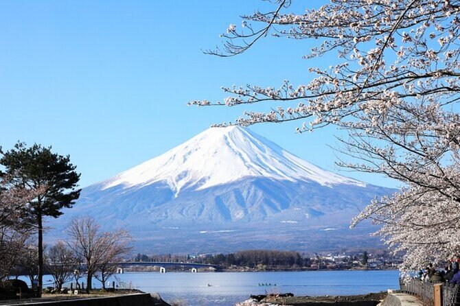 Mt. Fuji Private Tour From Tokyo With English Guide - What to Expect on the Tour