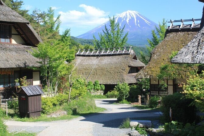 Mt. Fuji Private Tour From Tokyo With English Guide - Customer Reviews and Feedback
