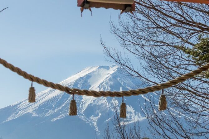 Mt. Fuji Private Tour From Tokyo With English Guide - Common Questions
