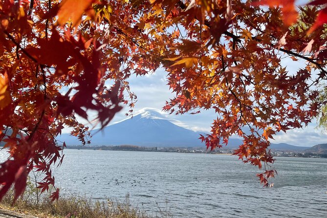 Mt. Fuji Private Tour With English Speaking Driver - Entrance Fees