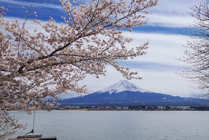 Mt. Fuji Private Tour With English Speaking Driver - Host Responses and Consumer Disclosure