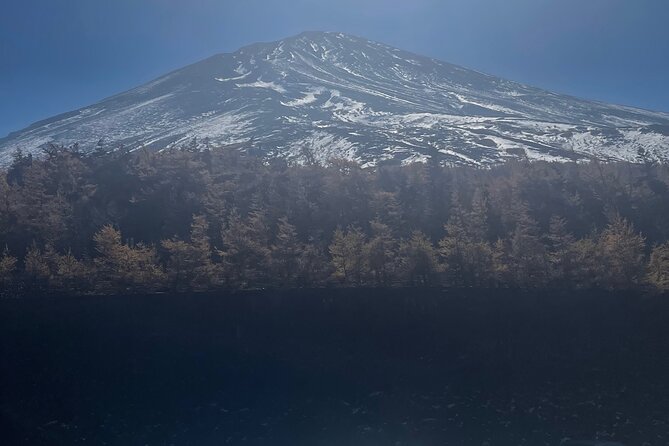 Mt. Fuji Private Tour With English Speaking Driver - Exploring the Majestic Mt. Fuji