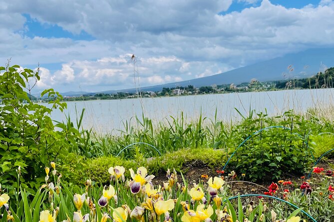 Mt Fuji Private Tour With English Speaking Driver - Key Points