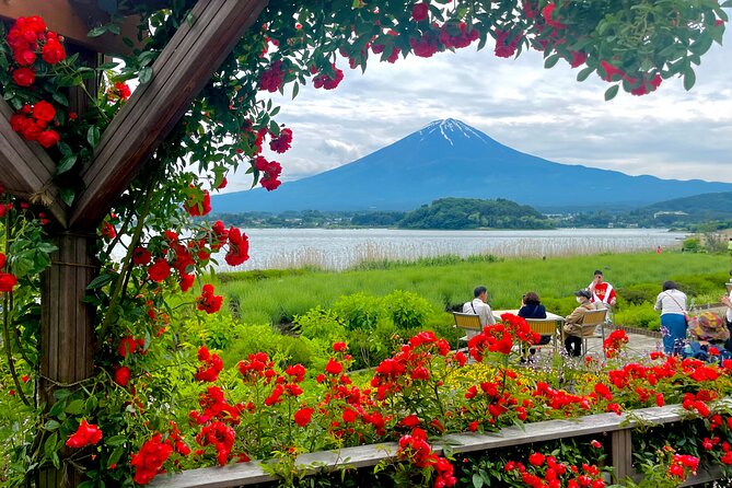 Mt Fuji Private Tour With English Speaking Driver - Driver Information