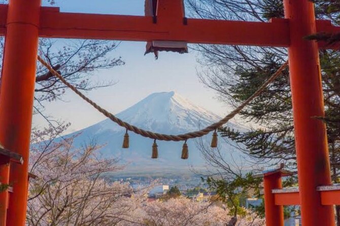 Mt Fuji Private Tour With English Speaking Driver - Traveler Accessibility