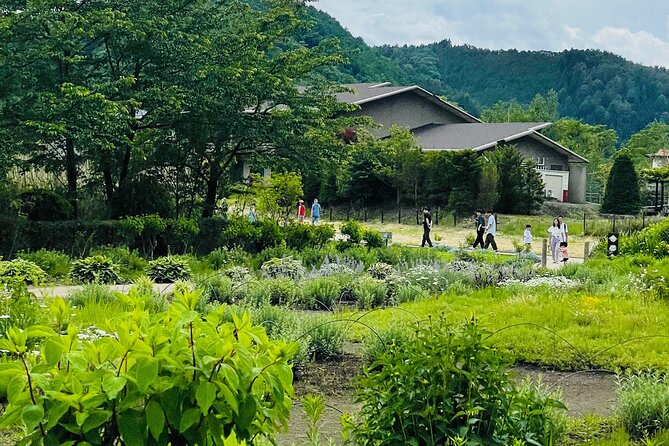 Mt Fuji Private Tour With English Speaking Driver - Reviews and Feedback