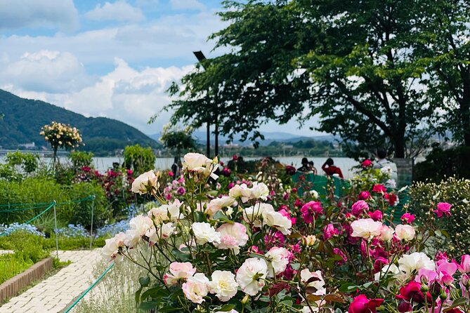 Mt Fuji Private Tour With English Speaking Driver - Customization and Flexibility