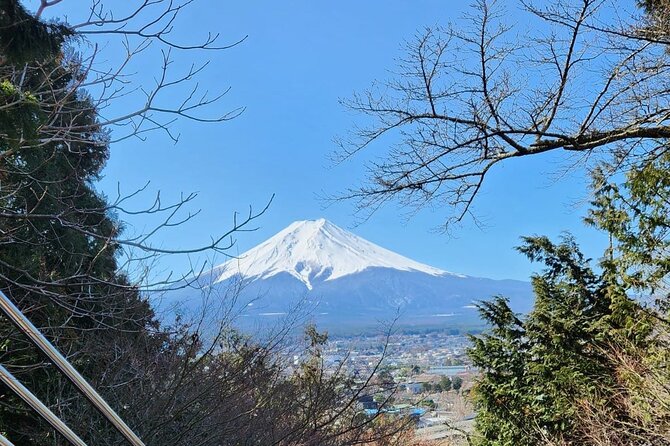Mt Fuji Private Tour With English Speaking Driver - Views From Mt. Fujis 5th Station