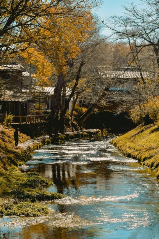 Mt. Fuji Private Tour With Hotel Pick Up From Tokyo - The Transportation: Comfort and Convenience
