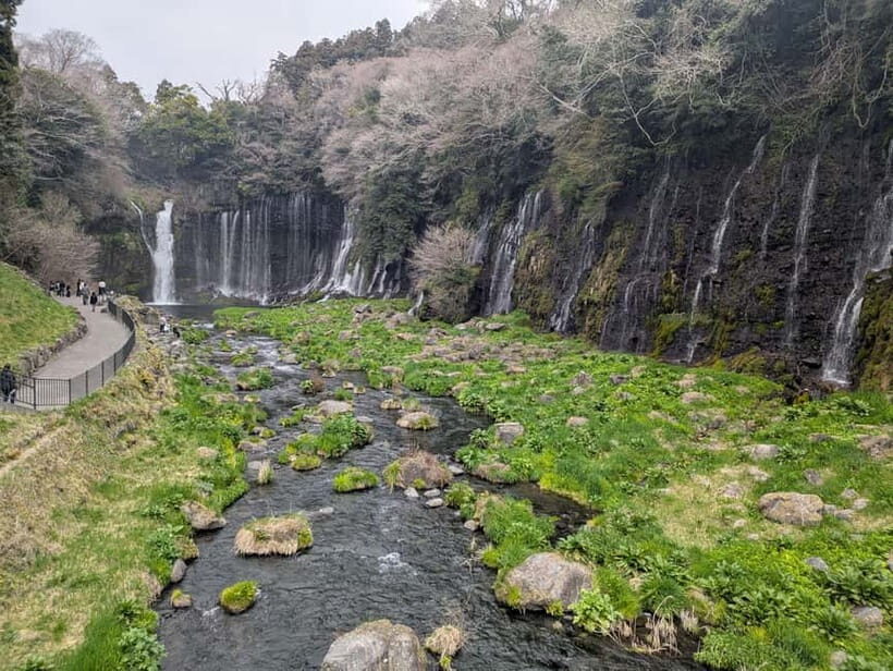 Mt. Fuji : Private Tour with Local Guide in English - Practical Considerations