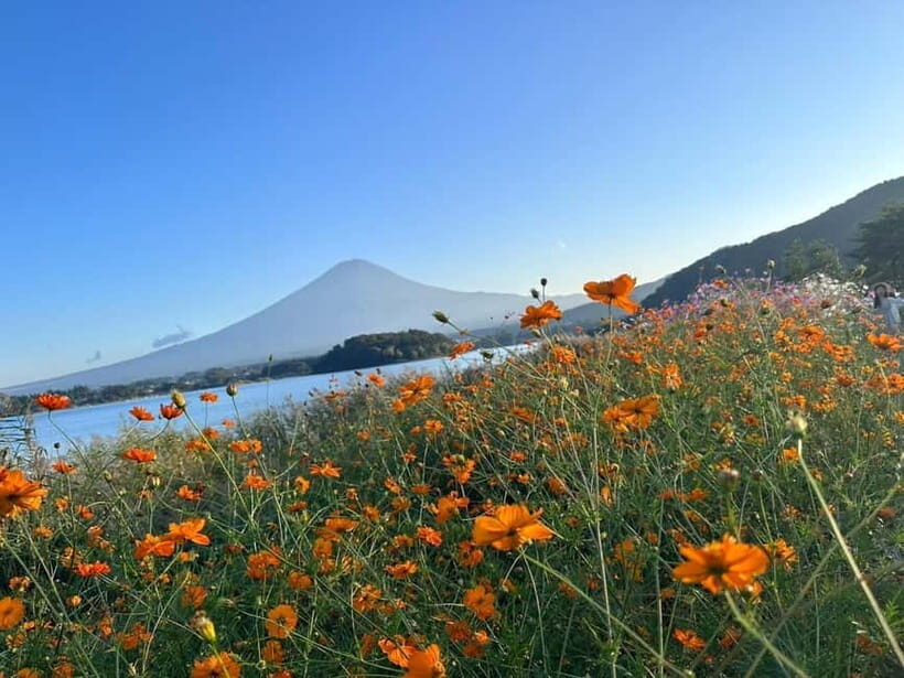 Mt. Fuji : Private Tour with Local Guide in English - The Sum Up: Is This Tour Right for You?