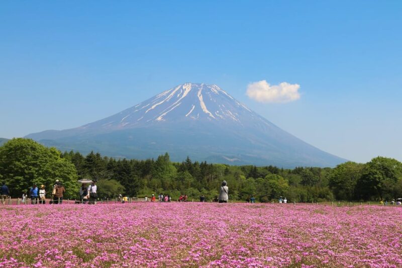 Mt.Fuji Private Tour With Pick & Drop Service - Key Points