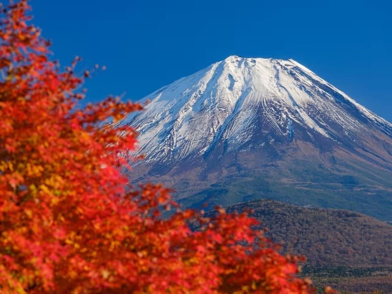 Mt. Fuji : Tailor-Made Day Trip With English Speaking Driver - Itinerary Highlights