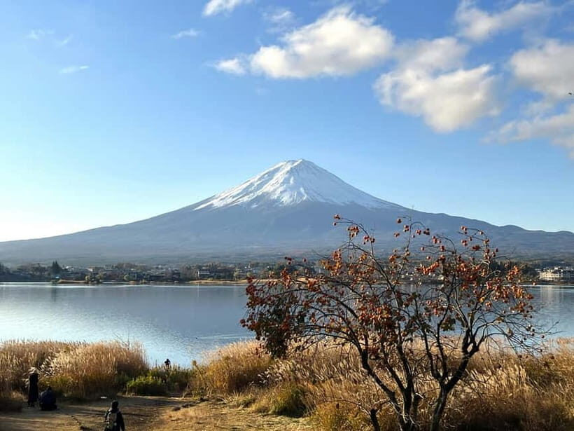Mt Fuji Tour Customizable, fully Licenced Tour Operator - Who This Tour Is Perfect For