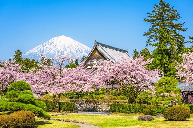 Mt. Fuji Tour in Lake Kawaguchi and Oshino Hakkai - Meeting and Pickup Information