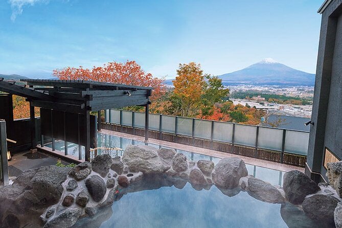 Mt. Fuji Tour in Lake Kawaguchi and Oshino Hakkai - Additional Information and Reminders
