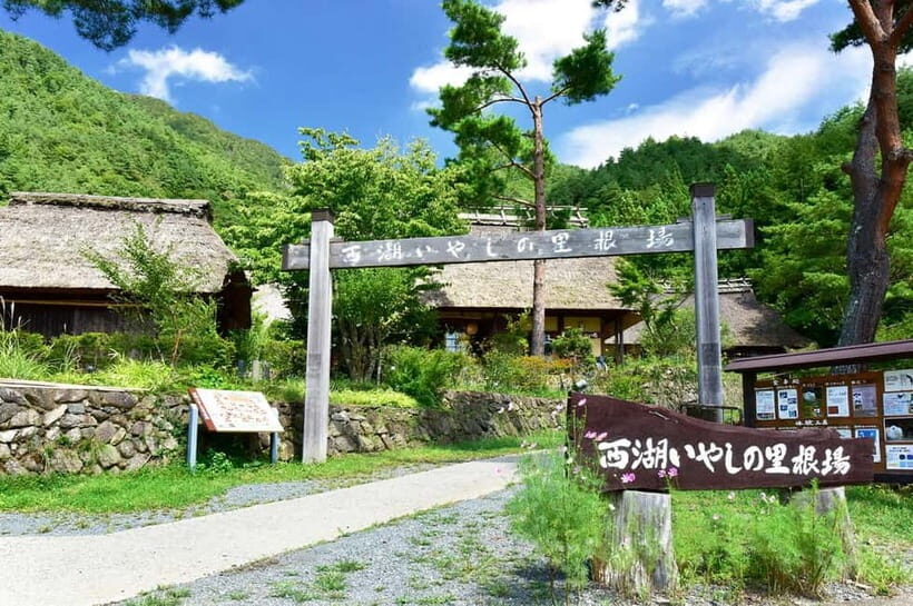 Mt Fuji Tour: Lake Kawaguchi, Shrine,Healing Village &Pagoda - An Overview of What to Expect