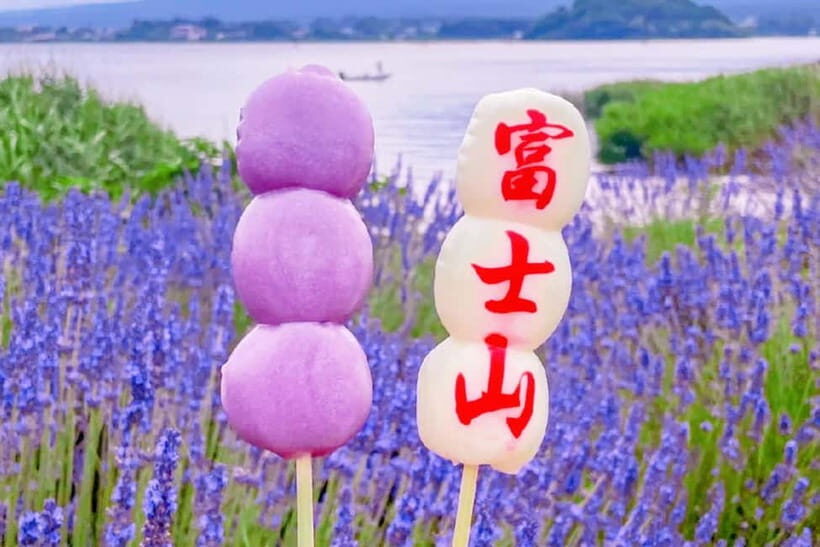 Mt Fuji Tour: Lake Kawaguchi, Shrine,Healing Village &Pagoda - Who Should Consider This Tour?