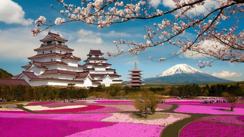 Mt Fuji Tour With Experienced English Driver - An In-Depth Look at the Mt Fuji Tour Experience