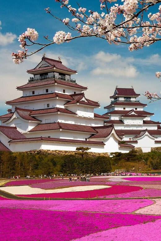 Mt Fuji Tour With Experienced English Driver - Final Thoughts