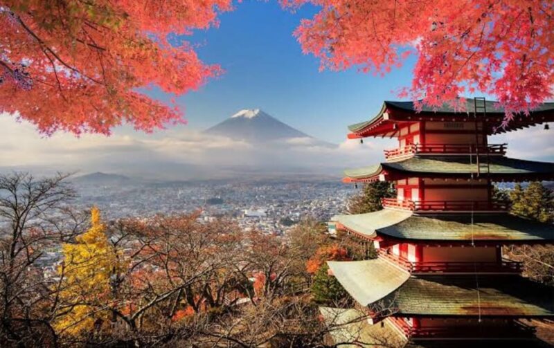 Mt Fuji Tour With Experienced English Driver - Customer Experience