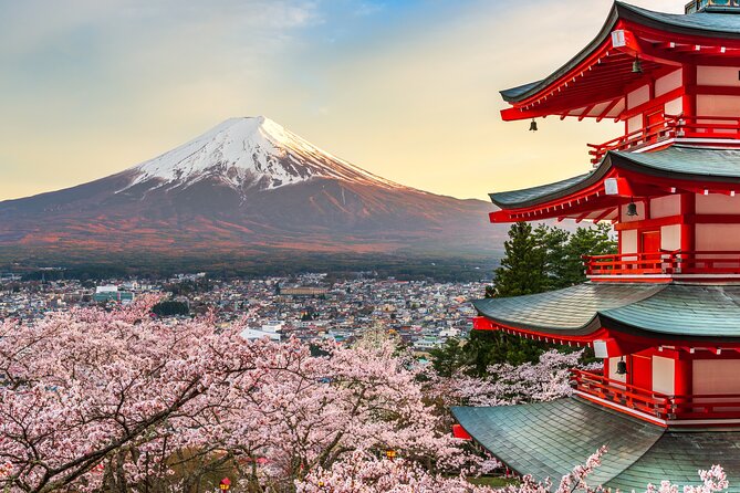 Mt Fuji Tour With Private English Speaking Driver From Tokyo - Inclusions
