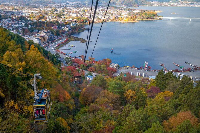 Mt Fuji Tour With Private English Speaking Driver From Tokyo - Reviews and Ratings