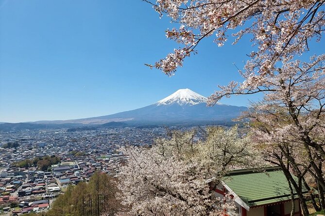 Mt. Fuji View and 2hours+ Free Time at Gotemba Premium Outlets - Attractions and Highlights
