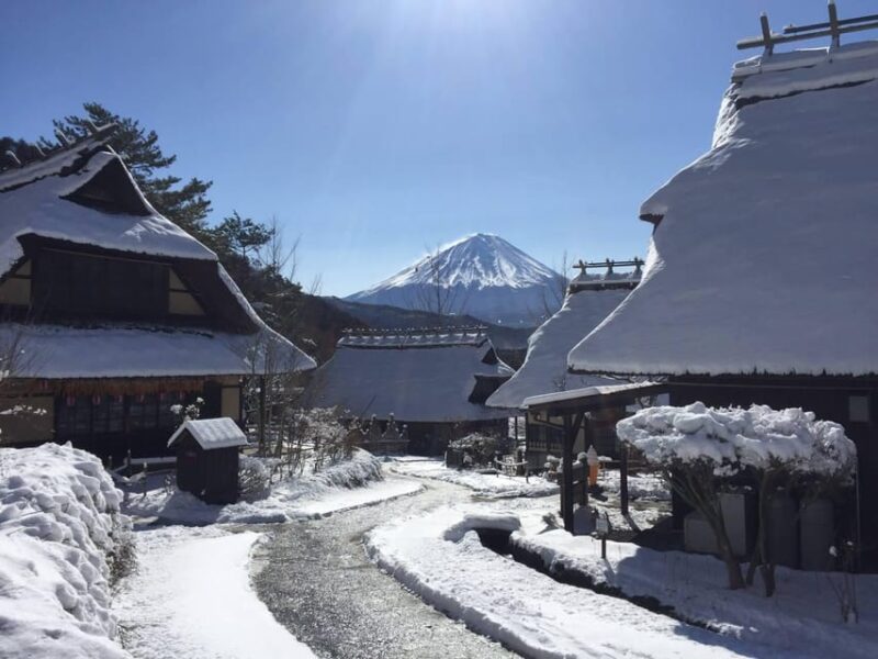 Mt. Fuji Viewing & Suntory Hakushu Distillery Whisky Museum - Important Information