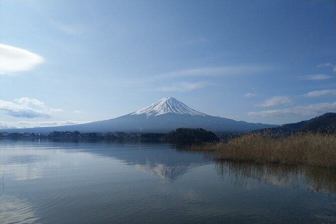 Mt Fuji with Kawaguchiko Lake Day Tour - A Deep Dive into the Experience
