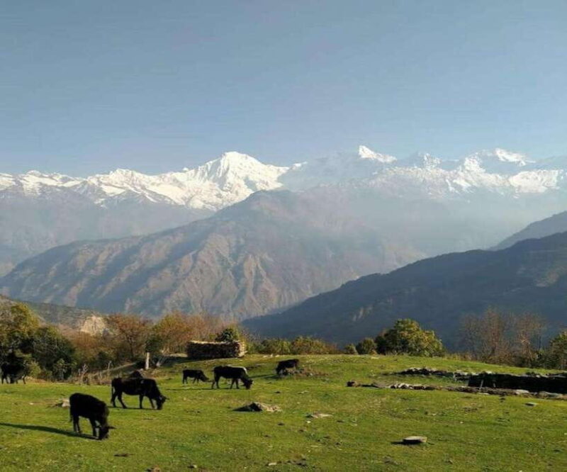 Mt. Ganesh Himal (Yangra) 2025/2026 - What Makes This Trek Special?