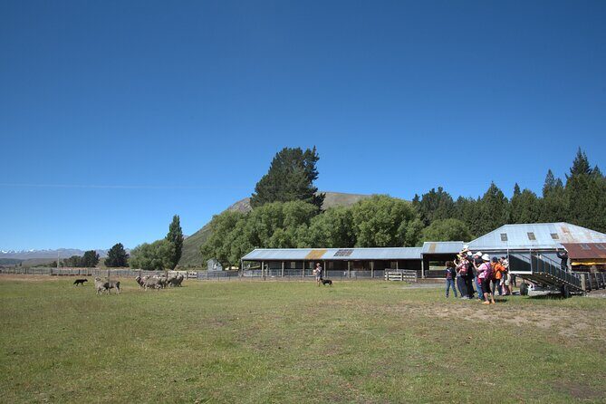 Mt. Hay Farm Experience Genuine Country Farming(Carbon Positive) - The Sum Up