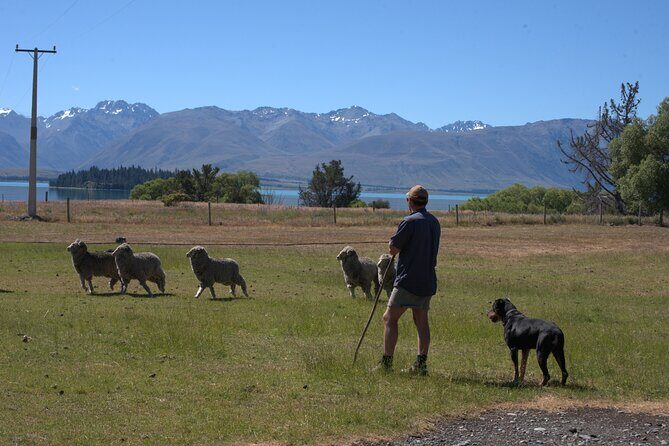 Mt. Hay Farm Experience Genuine Country Farming(Carbon Positive) - FAQ