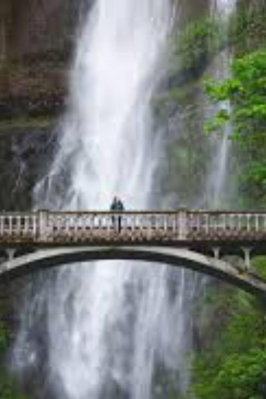 Mt Hood & Columbia River Private tour from Portland - Who Will Love This Tour?