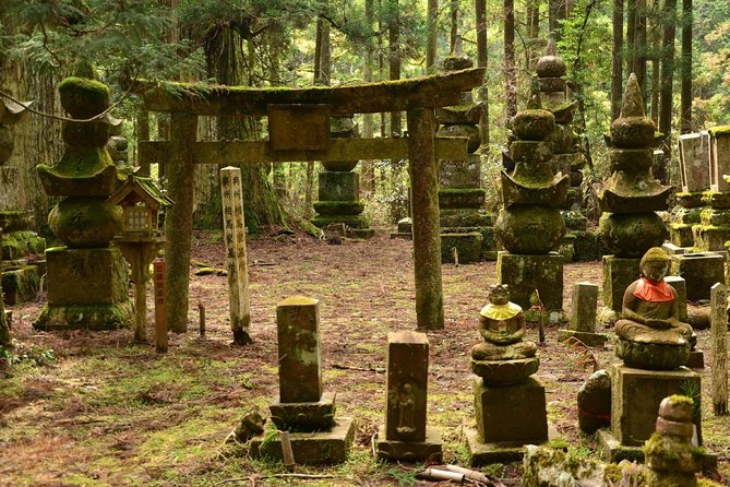 Mt. Koya Sacred 4hr Private Tour With Government Licensed Guide - Customizable Itinerary