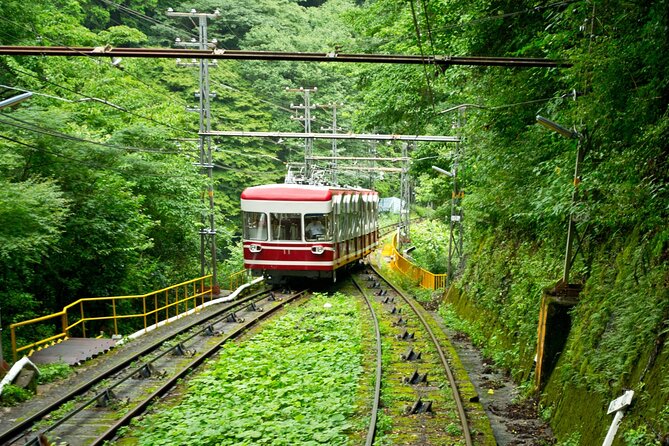 Mt. Koya Sacred 6hr Private Tour With Government Licensed Guide - Guest Feedback and Reviews