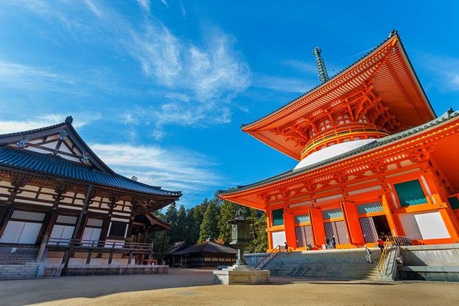 Mt. Koya Sacred Full-Day Private Tour (Osaka Departure) With Licensed Guide - Transportation and Accessibility Details