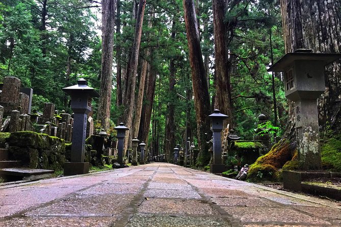 Mt. Koya Sacred Full-Day Private Tour (Osaka Departure) With Licensed Guide - Customer Feedback and Ratings