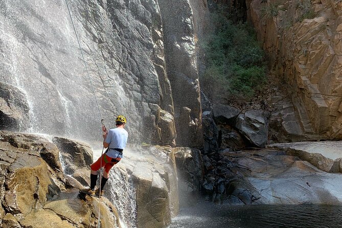 Mt. Lemmon Half Day Rock Climbing or Canyoneering in Arizona - What to Expect From Your Guides