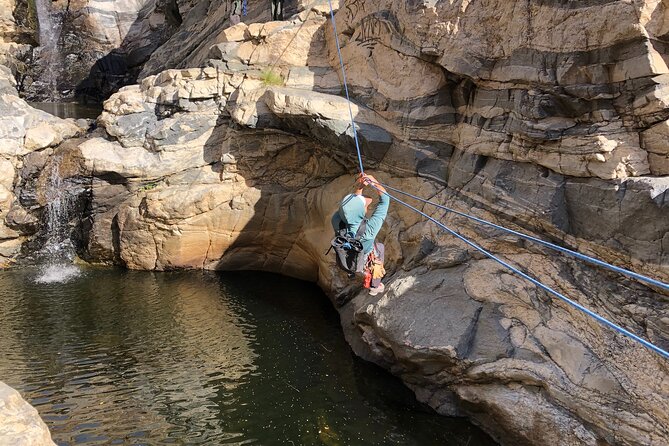Mt. Lemmon Half Day Rock Climbing or Canyoneering in Arizona - Customer Experiences and Reviews