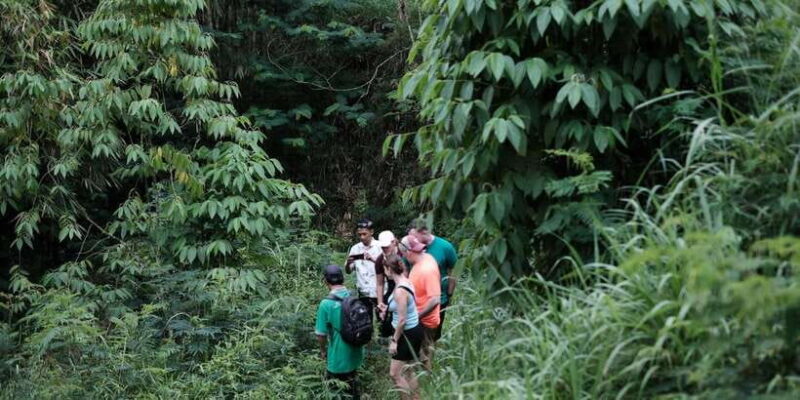 Mt. Merapi Majesty: Soft Trek and Botanic Village Tour - Key Points