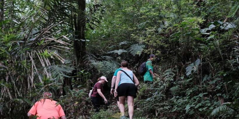 Mt. Merapi Majesty: Soft Trek and Botanic Village Tour - Detailed Itinerary Breakdown