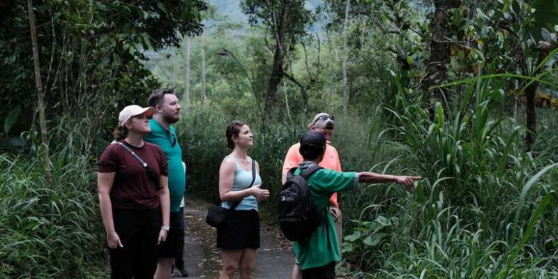 Mt. Merapi Majesty: Soft Trek and Botanic Village Tour - Whats Included and What Not