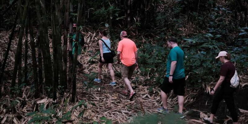 Mt. Merapi Majesty: Soft Trek and Botanic Village Tour - Practical Tips and Considerations